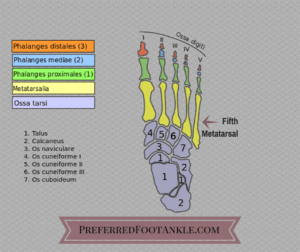 Iselin Disease - Causes, Symptoms, Diagnosis and Treatment